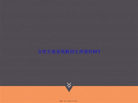 女性生殖系统解剖生理讲课文档word文档在线阅读与下载无忧文档