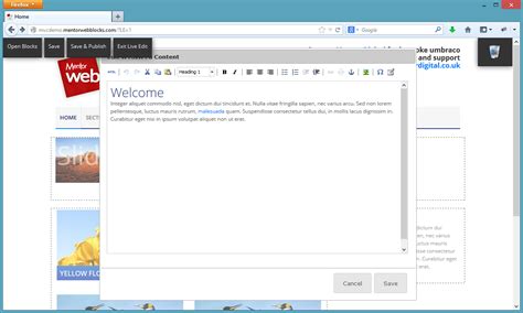 Mentor Web Blocks For Umbraco V6