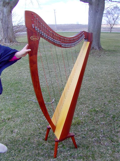 Harps For Sale Salvi Lever Harp For Sale