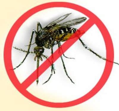 temas de salud Información sobre El Dengue