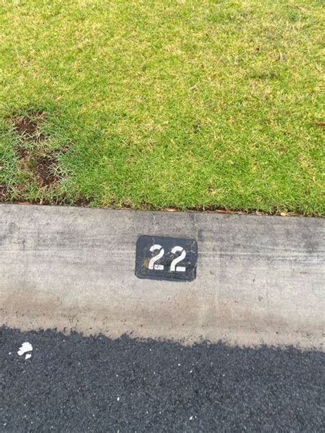 How To Use The Get Started Object Detection Api