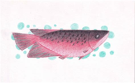 Ruby Seadragon On Tumblr