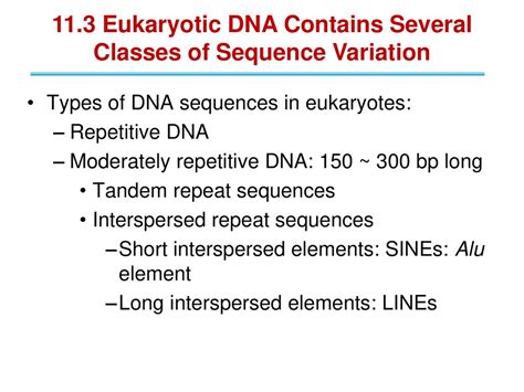 Chromosome Structure And Ppt Download