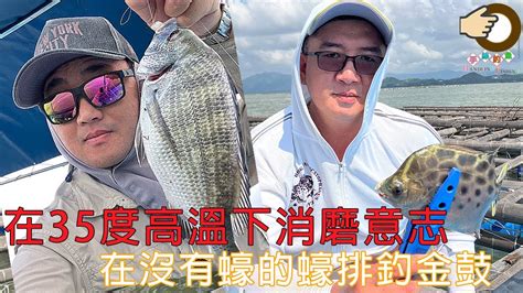314 在35度高溫下，在已沒有蠔的蠔排釣金鼓 香港釣魚 艇釣 流浮山蠔排 粵語旁白 Youtube