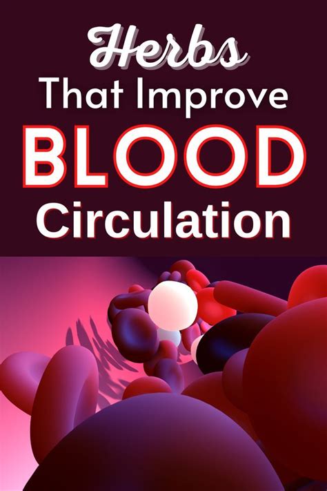 Herbs That Improve Circulation And Promote Healing Poor Circulation