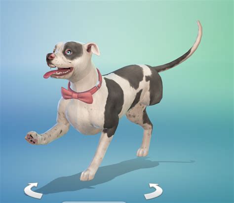 Otter On Toyhouse