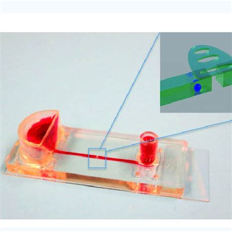 Shown Is A Photograph Of A Prototype Microfluidic Embryo Culture