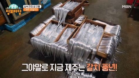 실속 만점 설 선물 ＜제주 은갈치＞ Mbn 250107 방송 네이버 Tv