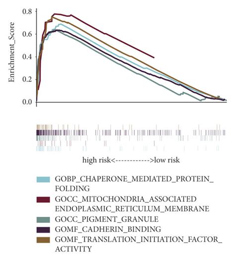 Gene Set Enrichment Analysis Of The Necroptosis Related Prognostic