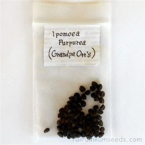 Ipomoea Seeds Packaging Type Plastic Bag At Best Price In Mumbai Id