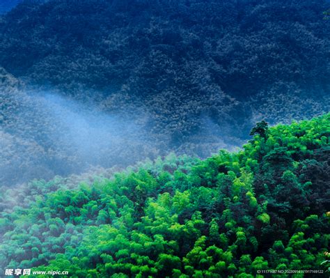 蜀南竹海摄影图 自然风景 自然景观 摄影图库 昵图网