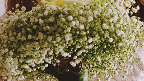 Tamara Y Mario Cuéntame Una Boda