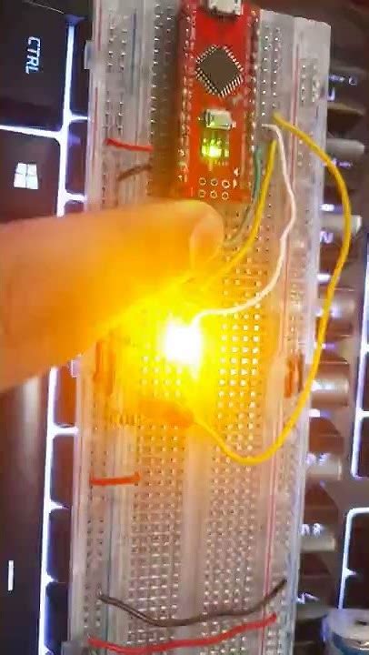 Leds Con Ciclo While Youtube