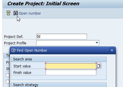 Solved Coding Mask Format Configuration For Project Defin SAP Community