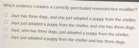 Solved Which Sentence Contains A Correctly Punctuated Nonrestrictive