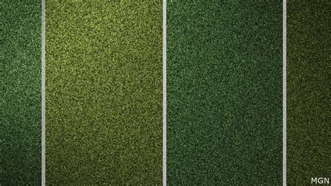 What Does The Science Say About The Grass Vs Turf Debate In Sports Krdo
