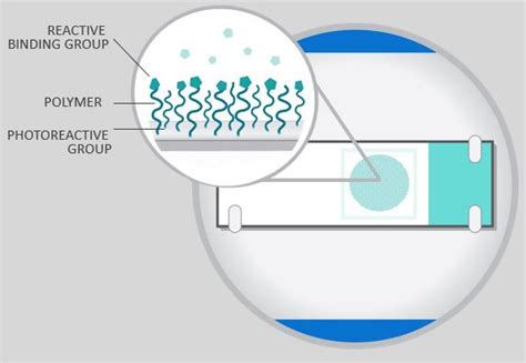 Surmodics Microarray Slidessurfaces