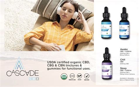 💡 Consumer Centric Approach Harnessing Our Retail And Hospitality