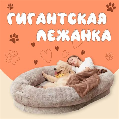 Собачья кровать лежанка для человека - купить с доставкой по выгодным ...