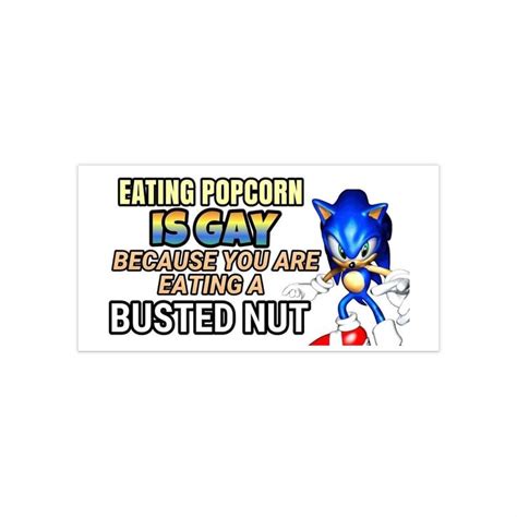 Busted Nut Sonic The Hedgehog Funny Custom Bumper Sticker Etsy En