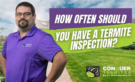 🐜how Often Should You Have A Termite Inspection🔍 Conquer Termites