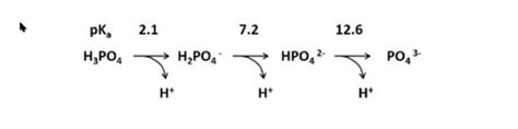 Biochemistry Exam 1 Flashcards Quizlet