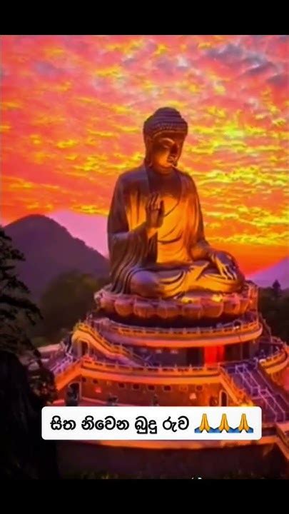 සිත නිවෙන බුදු රුව Buddhism Buddist Budu Bana Youtube