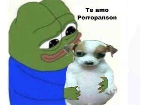 Perro PanzÓn Descubre Los Mejores Memes Y Zocavón