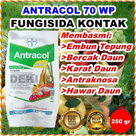 Jual Antracol 70 WP 250 Gr Fungisida Kontak Plus Zinc Pembasmi Hama Jamur Tanaman Hias Bunga