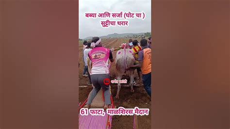 बब्या ची सुट्टी बघा 🏻 Bailgadalover Bailgadaofficial Bailgadapremi