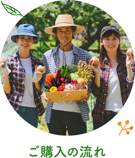 おやさいレスキュー｜規格外野菜｜富山県砺波市