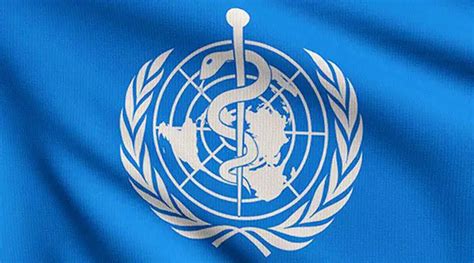 Conceptodefinición Organización Mundial De La Salud Conceptodefinición