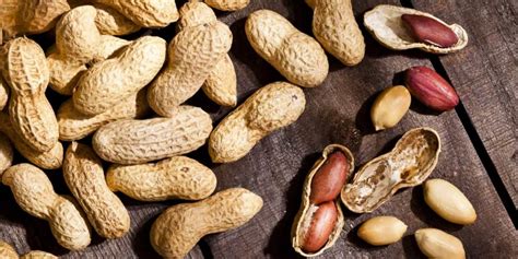 Gosta De Amendoins Bons Motivos Para Comer Mais Receitas Com Sabor