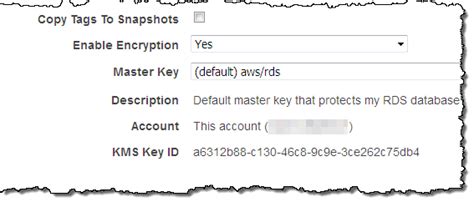 Amazon RDS Update Oracle Brazil Larger Volumes More AWS News Blog