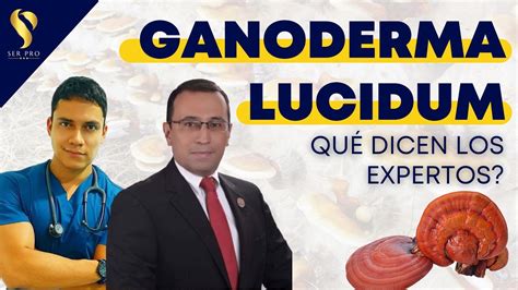 Ganoderma Lucidum De Gano Excel Ser Pro Youtube