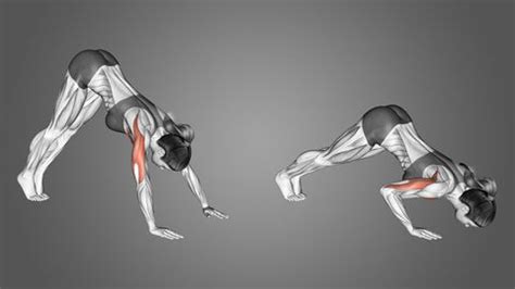 30 Min At Home Calisthenics Workout Guide Speediance