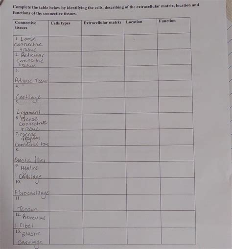 Solved Complete The Table Below By Identifying The Cells Chegg