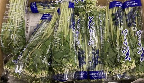 タガの豊洲市場日記：ミンク鯨、雪解け牡蠣、花わさび 他 豊洲市場ドットコムのウラガワ。