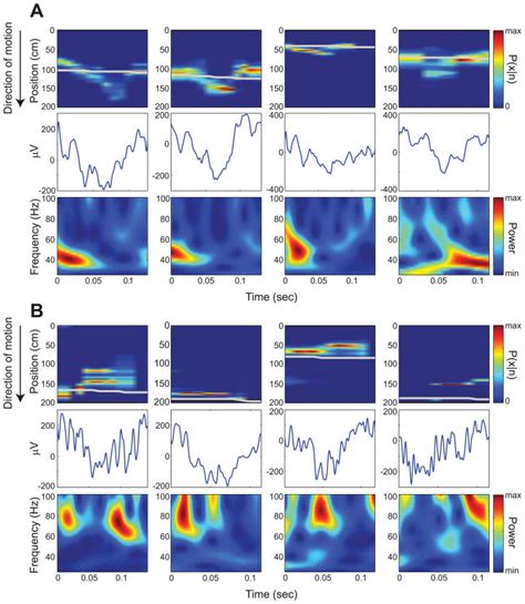 Slow And Fast Gamma Rhythms Coordinate Different Spatial Coding Modes In Hippocampal Place Cells
