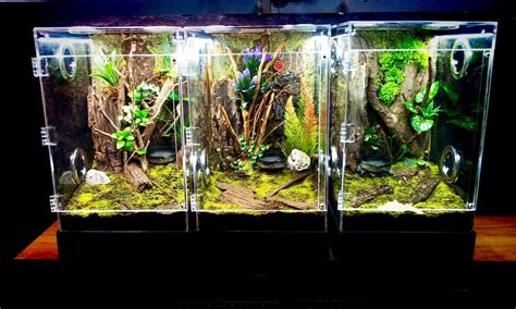 Acrylic Tarantula Enclosure Design Acrylic Design