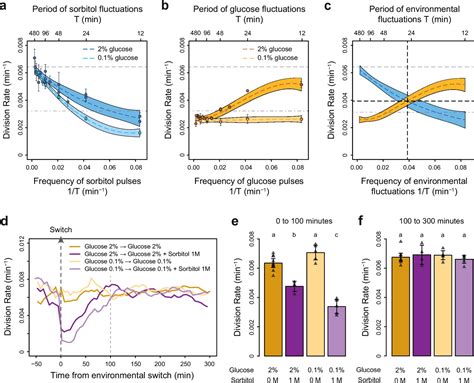Yeast Cell Responses And Survival During Periodic Osmotic Stress Are