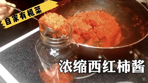 熬制一锅有机西红柿，不加糖原汁原味超浓缩酱仅一瓶！比买的好吃又健康 Youtube