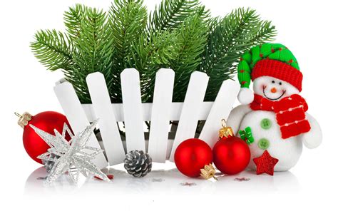 Елочная ветка (много фото) - treepics.ru