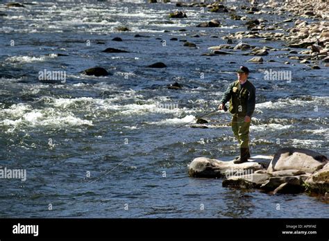 Fly Fishing For Wild Brown Trout On The River Usk At The Gliffaes Stock Photo Alamy
