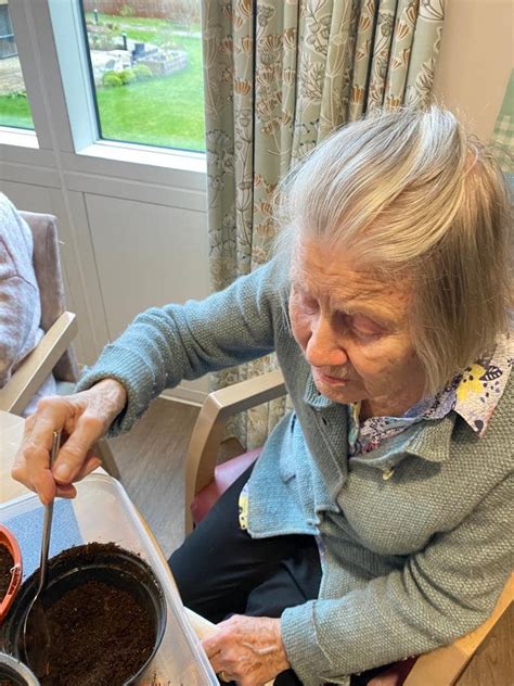 This Years Vegetable Patch Dormy Care Communities