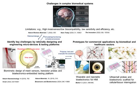 Electrochemical And Bioelectronic Interface Group Yunlong Zhao Research Group Research