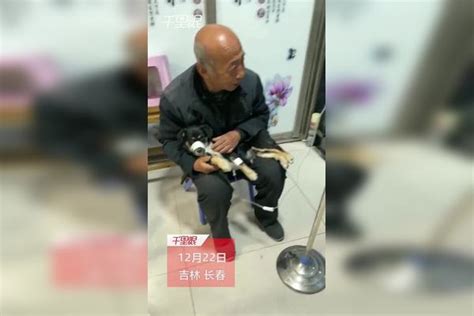 【长春】没血缘关系爷爷为了让孙子安心求学，凌晨四点抱狗求医
