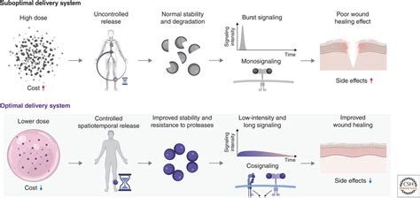 Growth Factor And Cytokine Delivery Systems For Wound Healing
