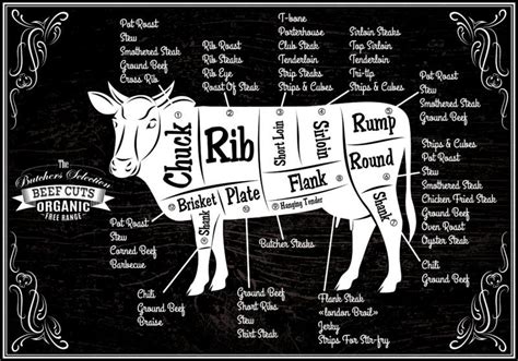 Grass Fed Beef Guide Descriptions Of Grass Fed Beef Cuts