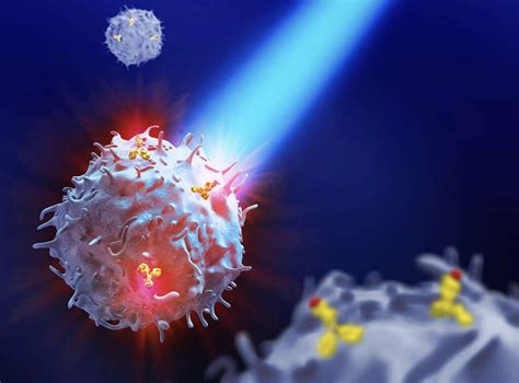 Lymph Nodes What Are Lymph Nodes